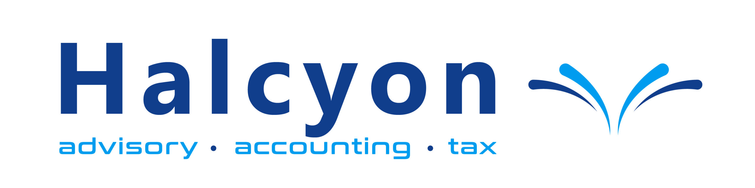 Contact Us | Halcyon CPA Advisors